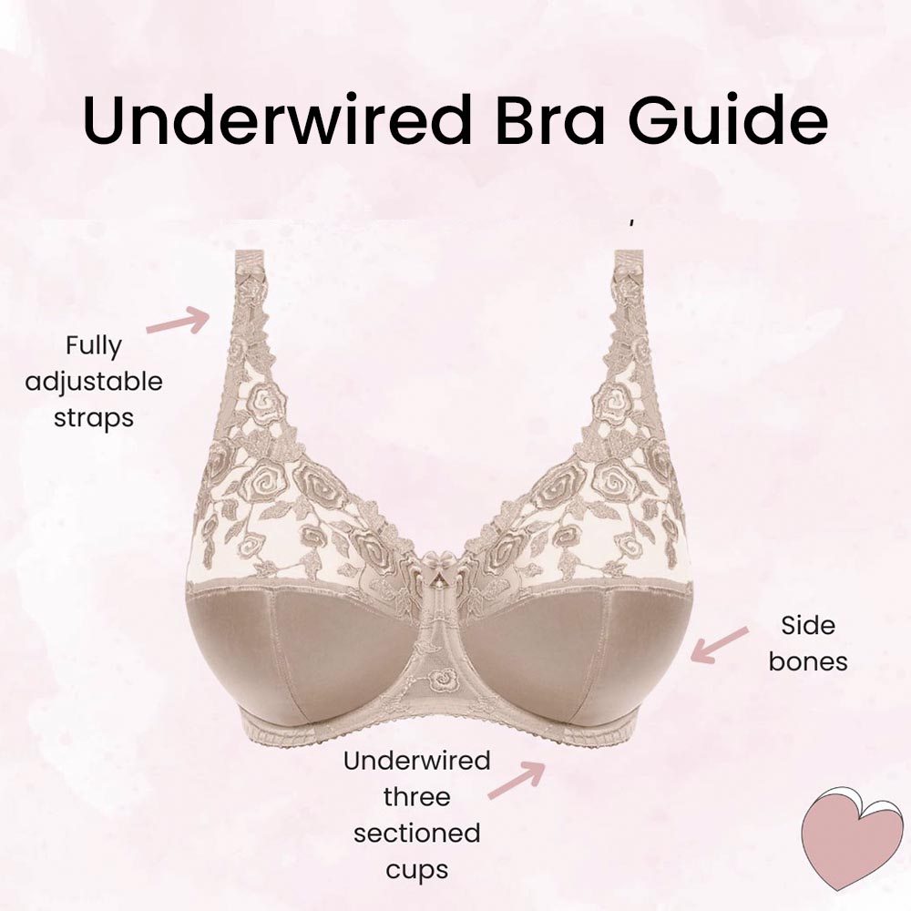 Types Of Bra Chart Types Of Bra Chart