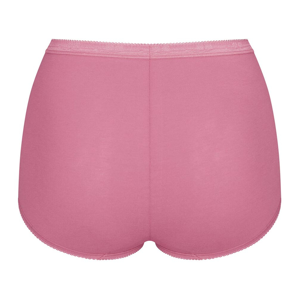 Sloggi Basic Maxi Brief 4 pack | AmpleBosom.com