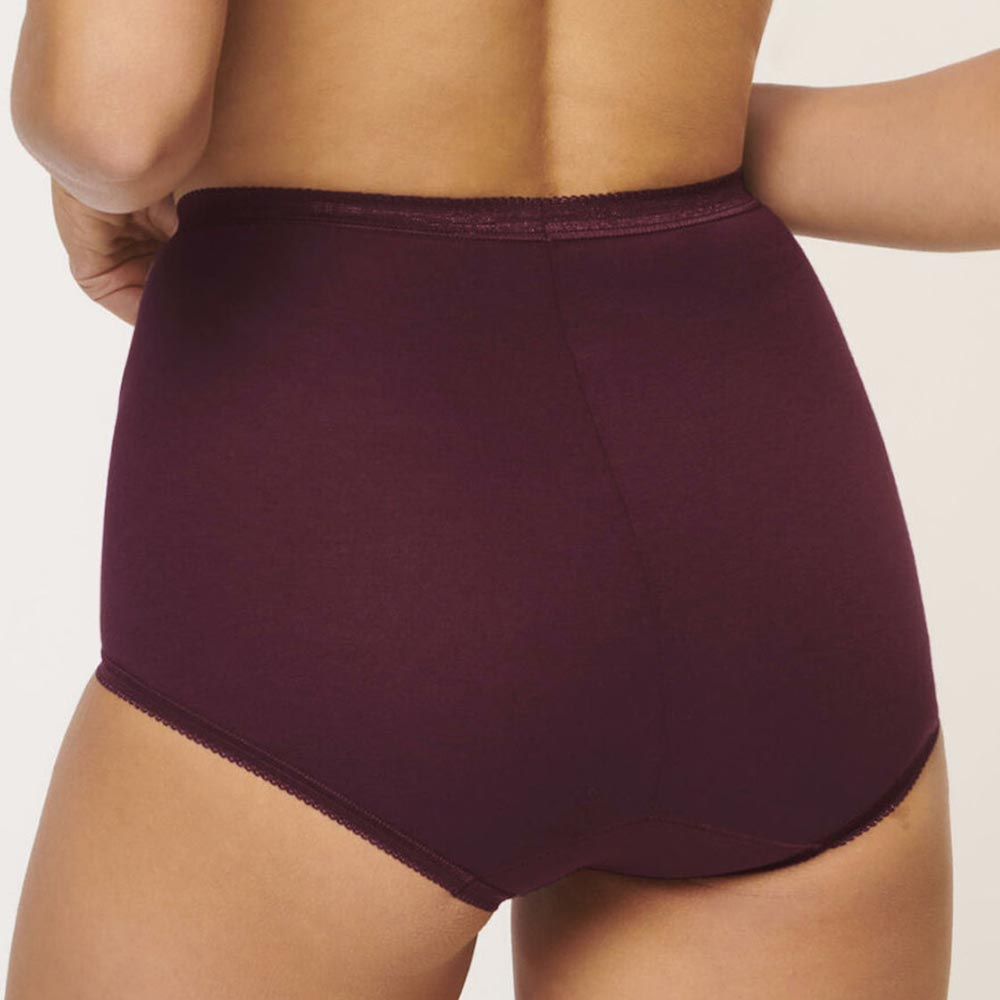 Sloggi Basic Maxi Brief 4 pack | AmpleBosom.com